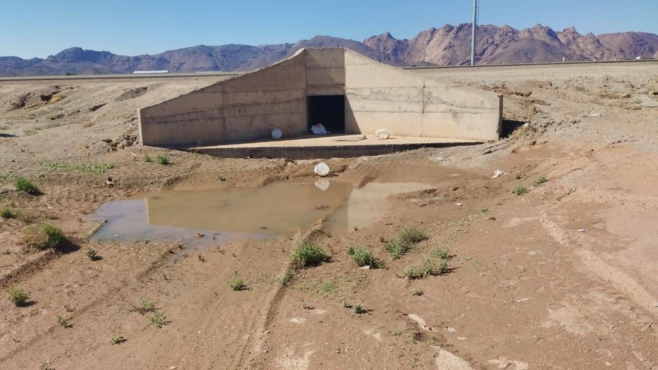 Saden - Geotechnical Studies